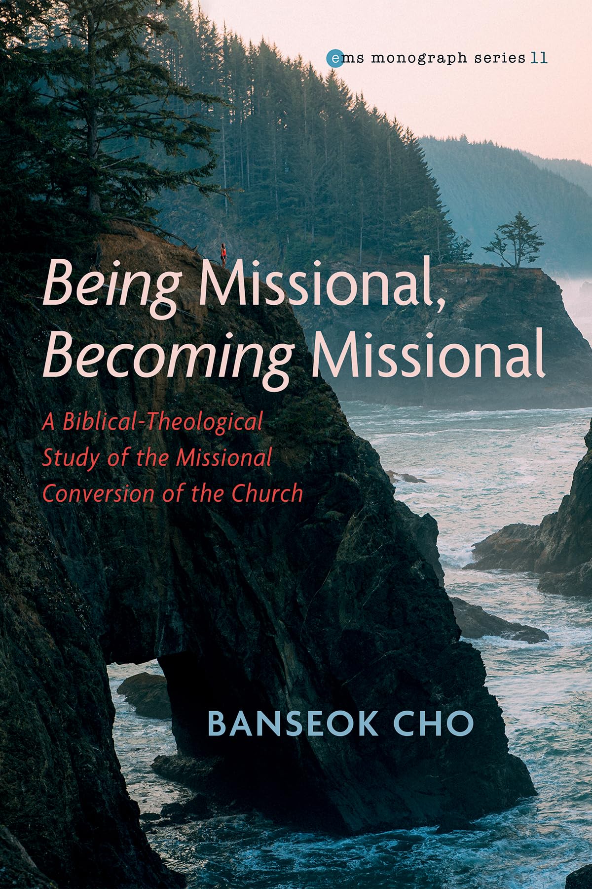 Being Missional, Becoming Missional: A Biblical-Theological Study of ...