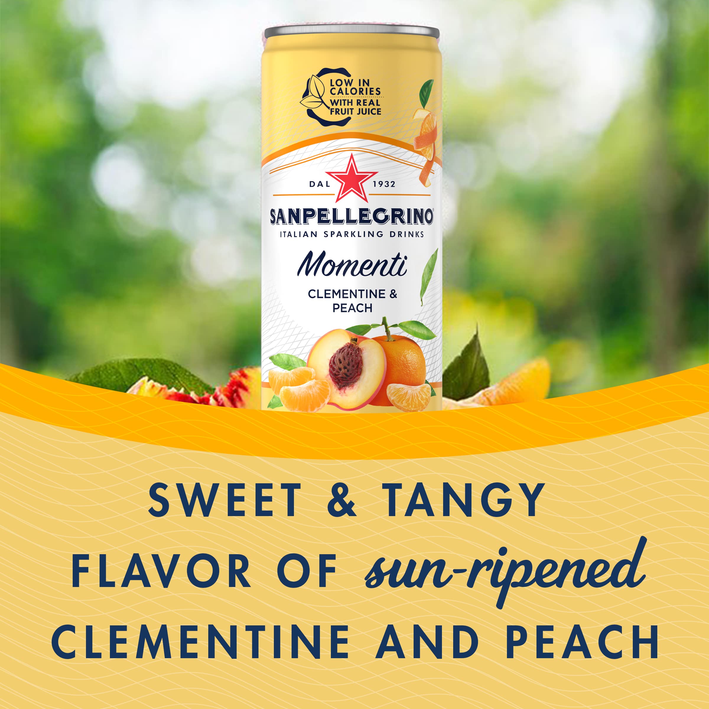 Snapklik.com : Sanpellegrino Momenti Clementine And Peach Flavored Sparkling Drink