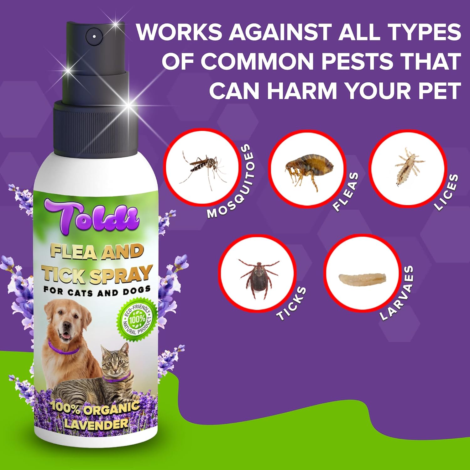 Is Rip Flea Spray Harmful To Humans is-rip-flea-spray-harmful-to-humans