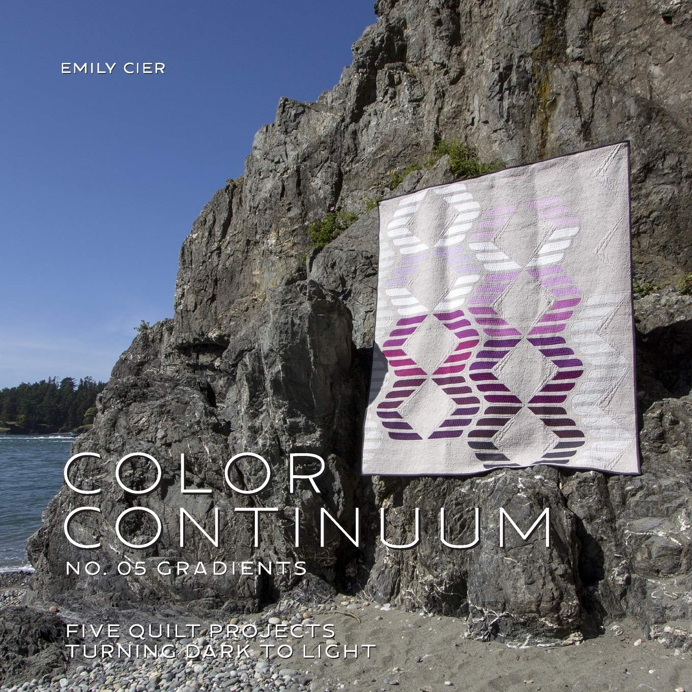 Color Continuum - Gradients: Five Quilt Projects Turning Dark to Light ...