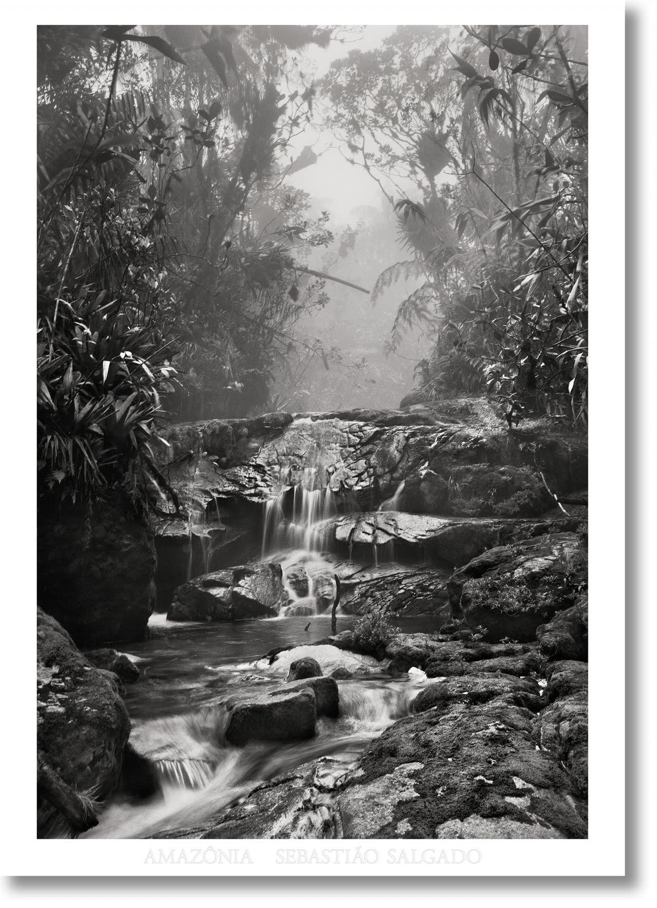Sebastião Salgado. Amazônia. Poster «Creek» : TASCHEN: Amazon.it: Libri