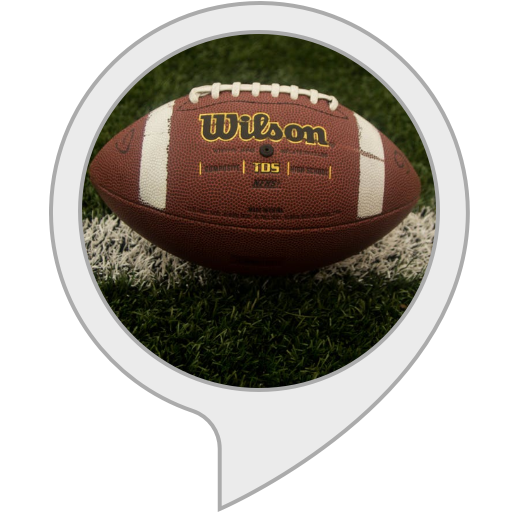 Amazon.com: NFL Teams : Alexa Skills
