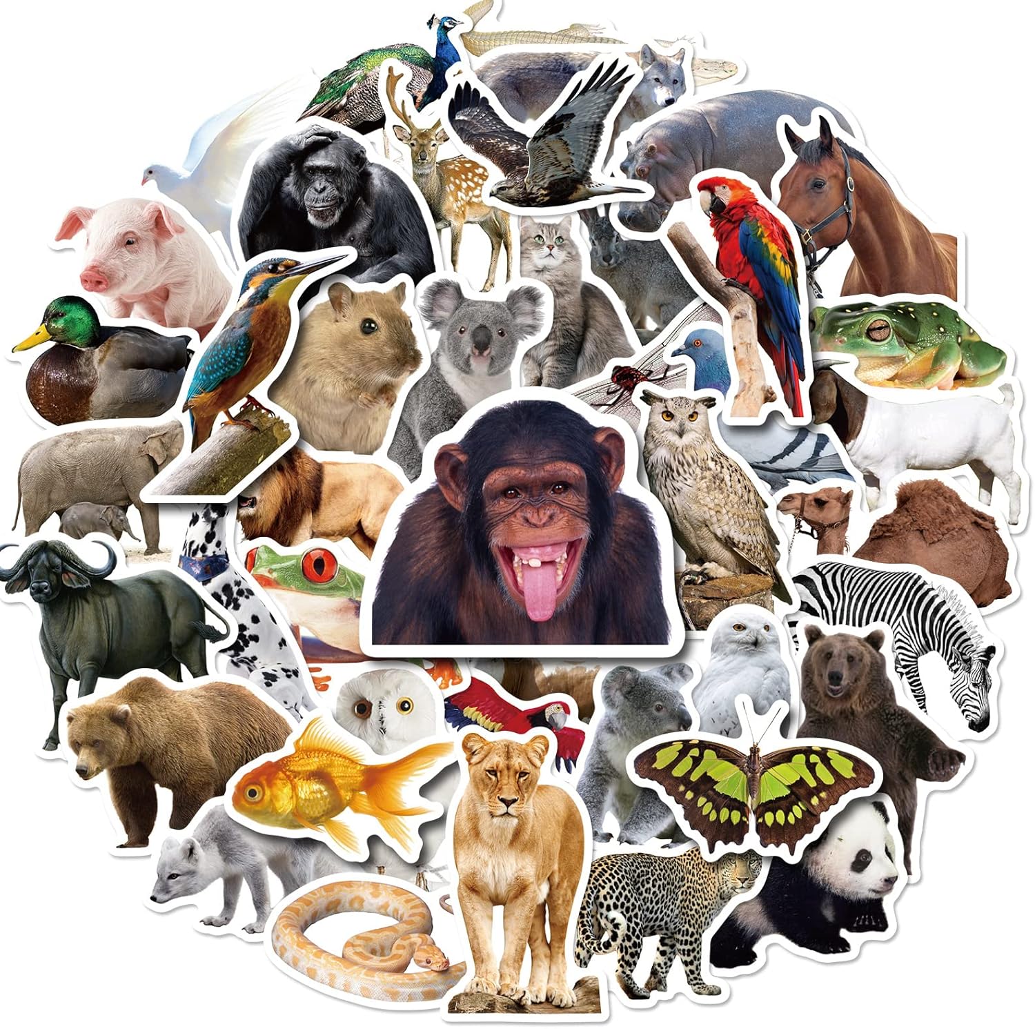 Amazon.com: Jungle Animal Stickers Decal Realistic Zoo Animal ...