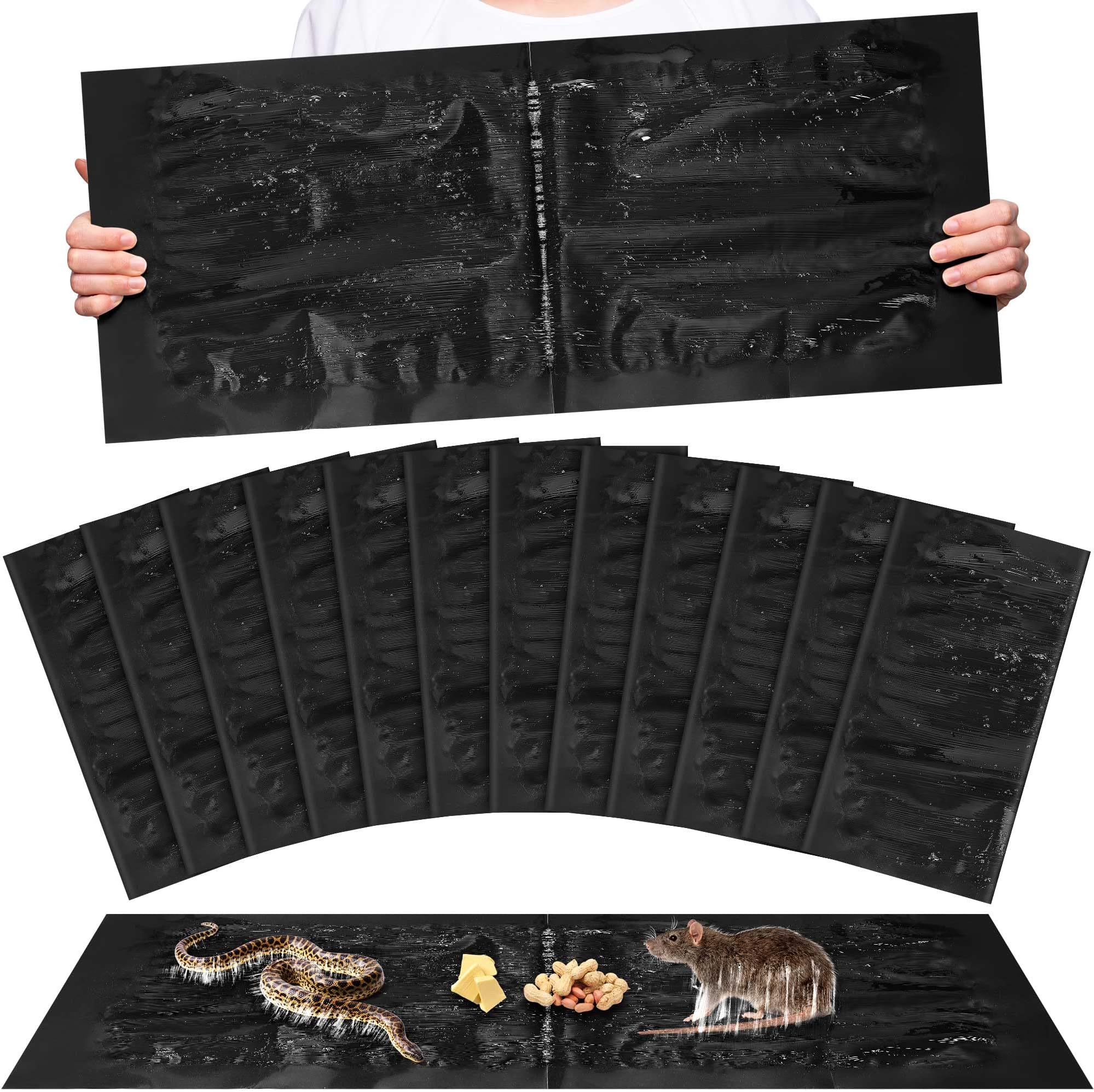 Amazon.com : 12 Pack Large Super Sticky Rat Glue Traps, Mouse Glue ...