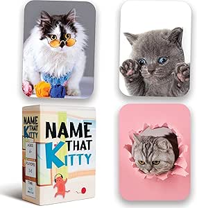 Amazon.com: Name That Kitty - Cat Card Game for Kids 8-12 is Great for ...