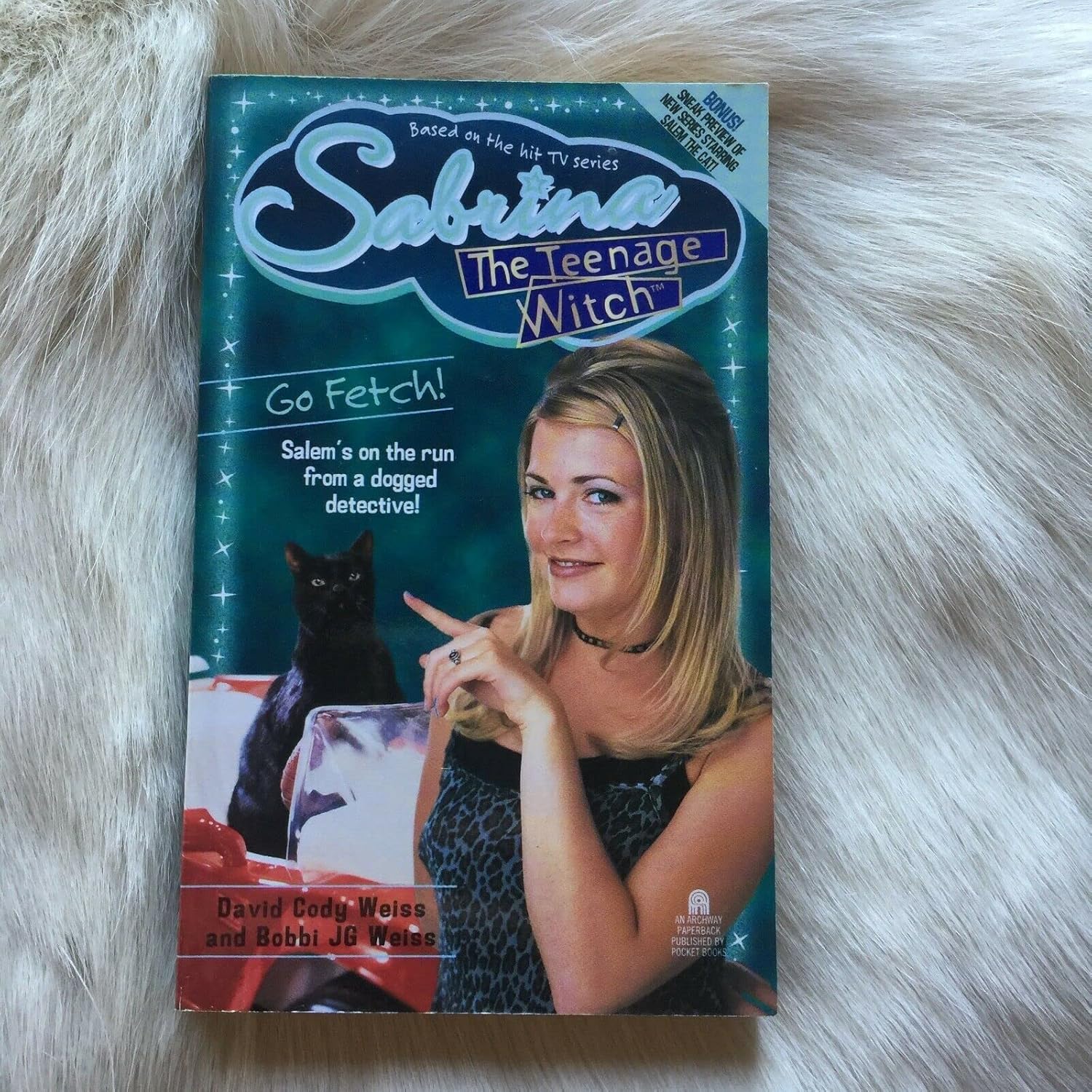 Amazon.com: GO FETCH! SABRINA, THE TEENAGE WITCH #13: 9780671021177 ...