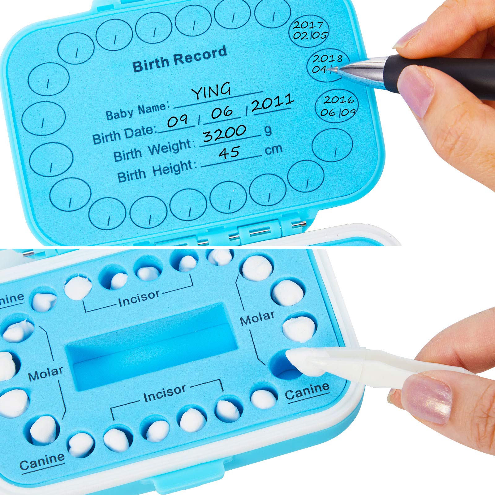 Buy 2 Pieces Baby Teeth Keepsake Box Tooth Holder Kids Teeth Keepsake ...