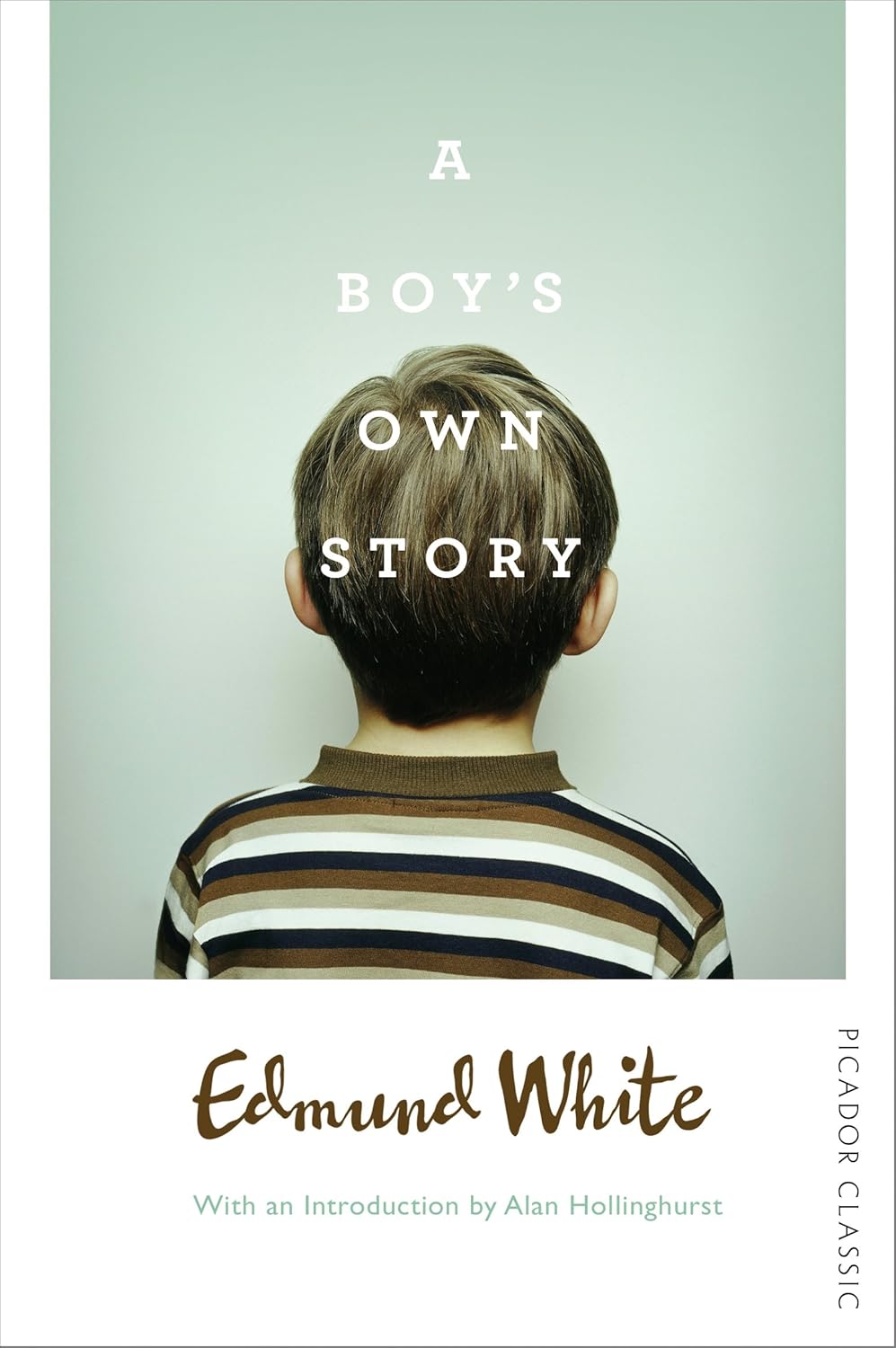 Boys Own Story: White, Edmund: 9781509813865: Amazon.com: Books
