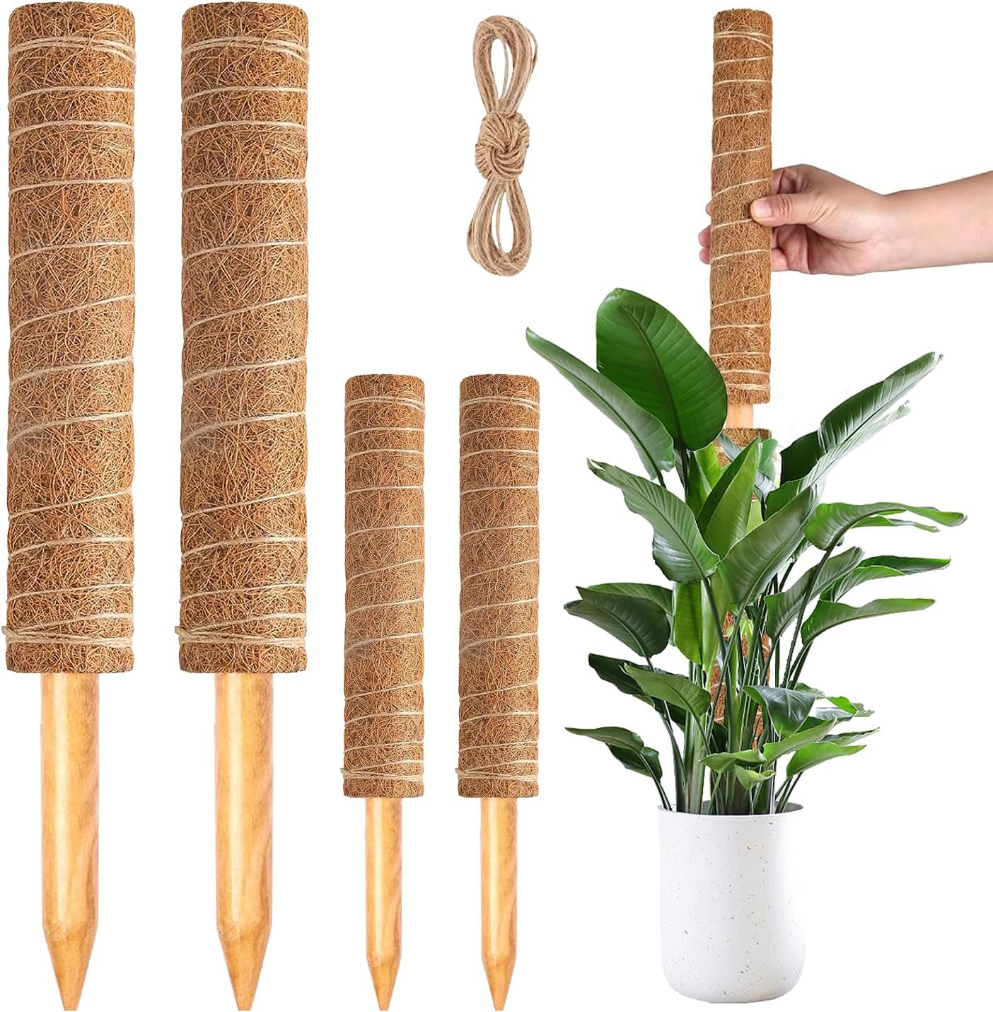 Amazon.com : 4 Pack 47 Inch Moss Pole, Stackable Moss Poles for Climbing Plants Monstera, Grow ...