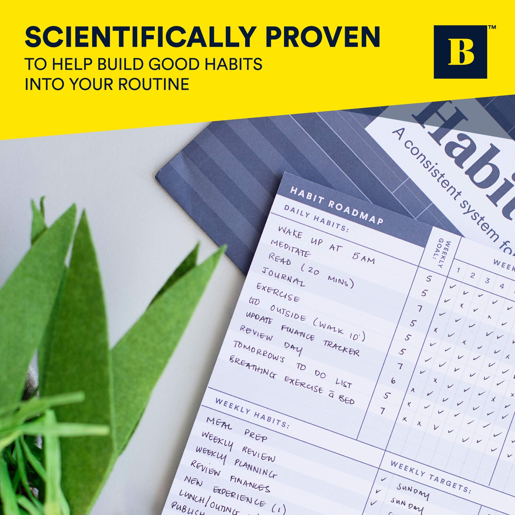 Buy Habit Roadmap by BestSelf - Visual Tool to Establish and Track Good ...