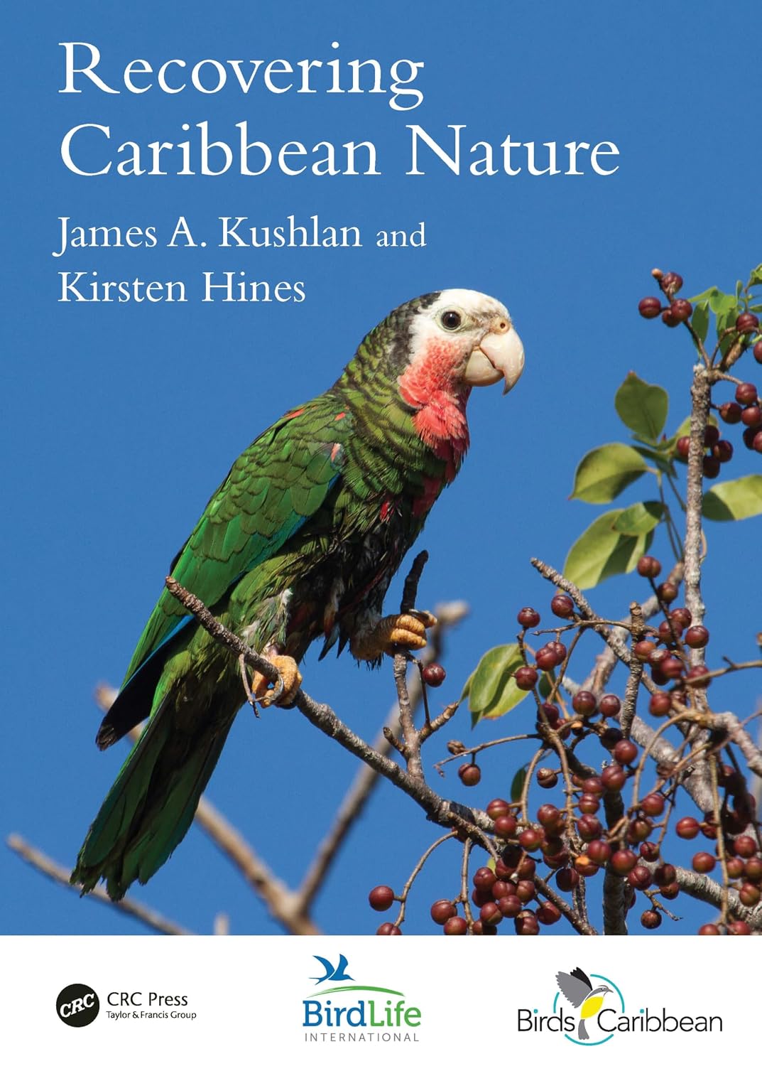Buy Recovering Caribbean Nature Book Online at Low Prices in India ...