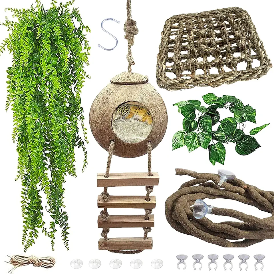 Where Do Geckos Live: Unveiling The Habitats Of These Fascinating ...