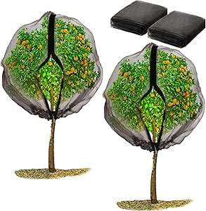 Amazon.com : Homiton 2 Pack Fruit Tree Netting Bags with Zipper and Drawstring, 6 x 6ft Ultra ...