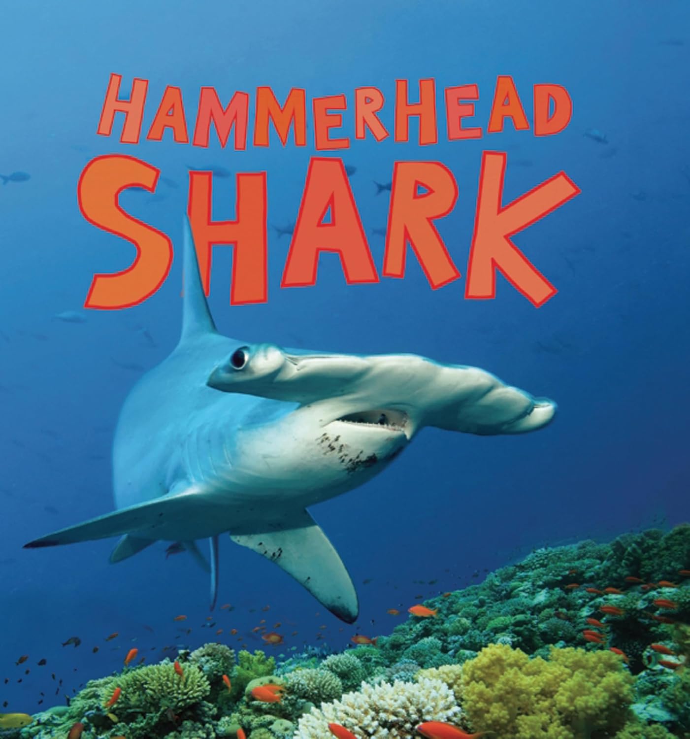 Hammerhead Shark (Discover Sharks): de la Bédoyère, Camilla ...