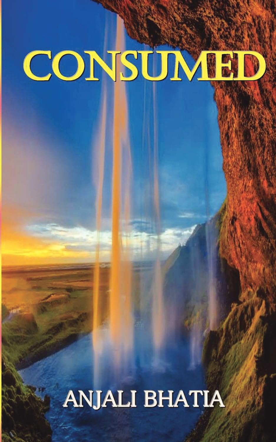 Buy Consumed Book Online at Low Prices in India | Consumed Reviews ...