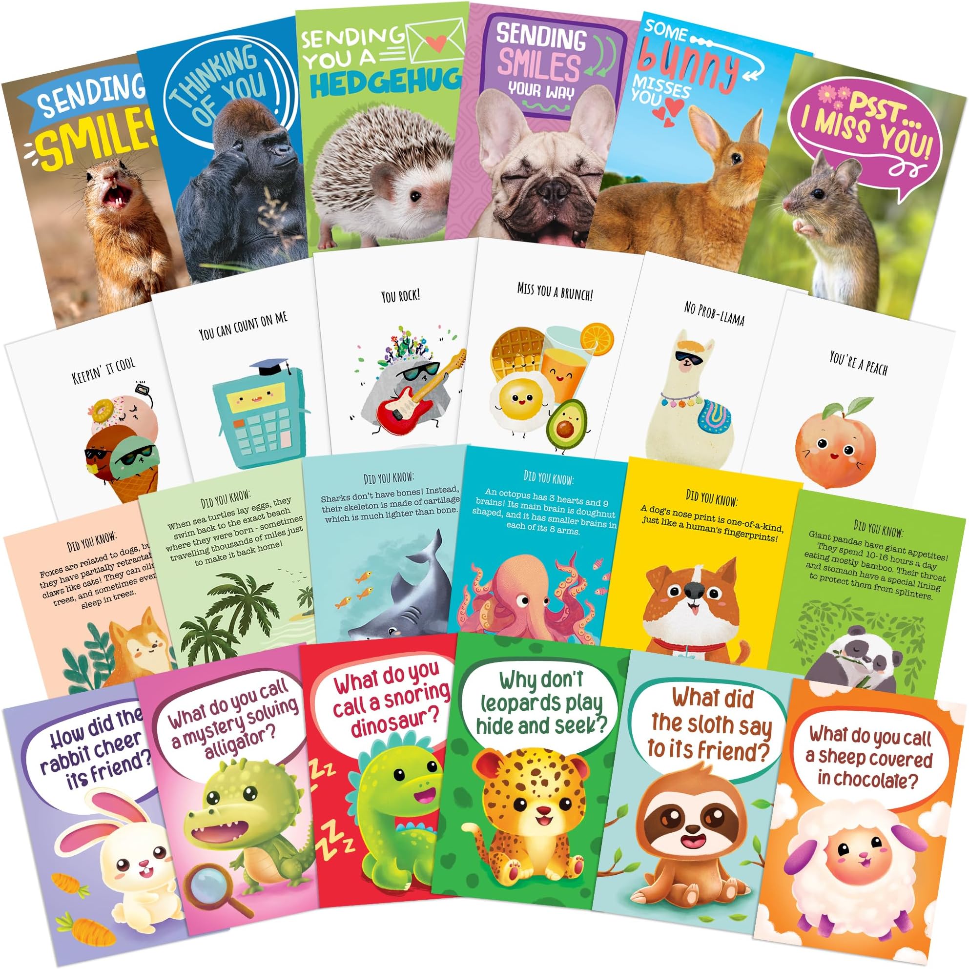 Amazon.com : T MARIE 160 Funny Animals and Punny Cartoon Postcards - 4 ...