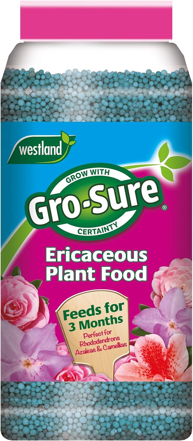 Gro-Sure Ericaceous Slow Release Plant Food, 900 grams : Amazon.co.uk ...
