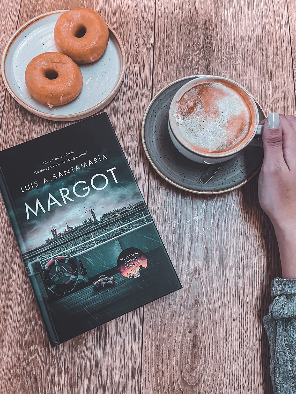 Margot: 1 (La desaparición de Margot Lane) : Santamaría, Luis A ...