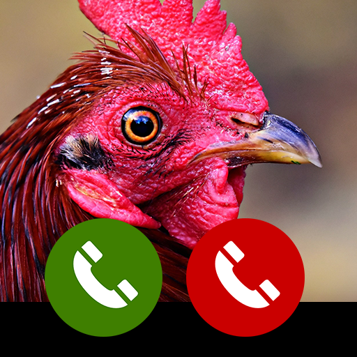Fake call from Cute Chicken - App on Amazon Appstore