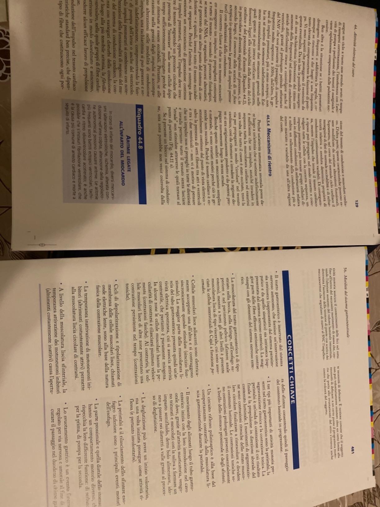 Anatomy Bag Plus: Trattato di anatomia umana-Anatomia topografica ...