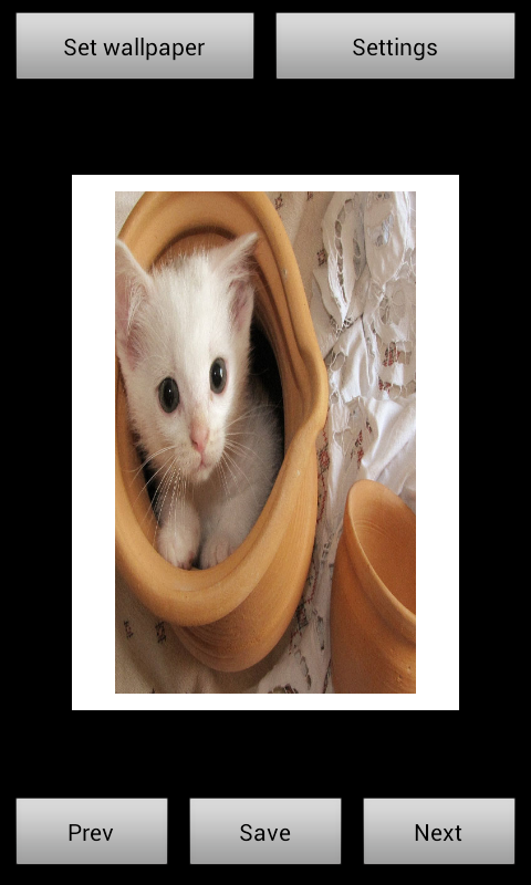 Little Catty Live Wallpapers - App on Amazon Appstore