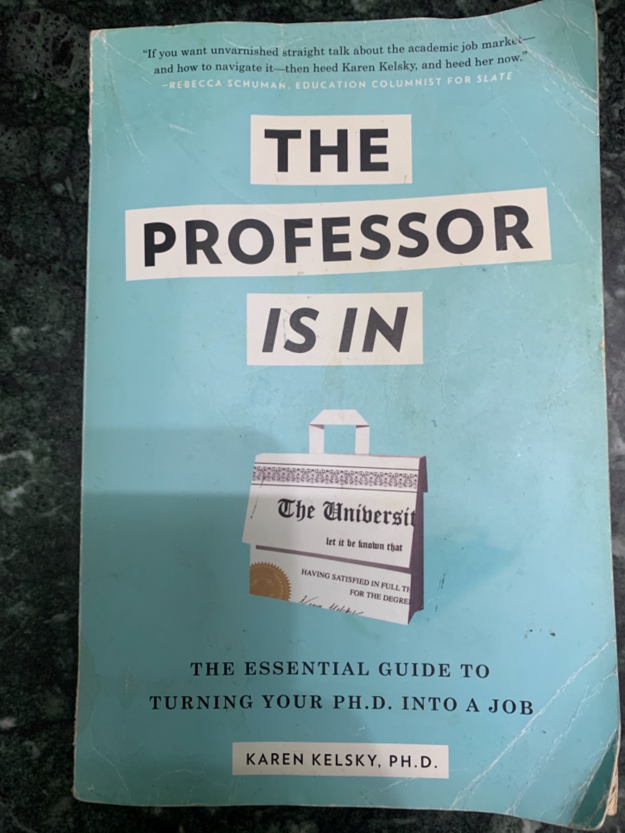 The Professor Is in: The Essential Guide to Turning Your Ph.D. Into a ...