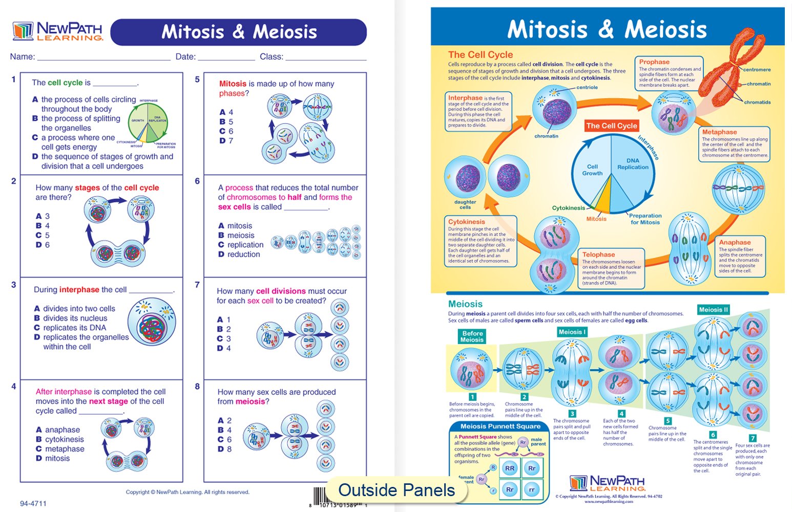 Meiosis Cell Division: Mitosis And Meiosis Meiosis I And Meiosis II