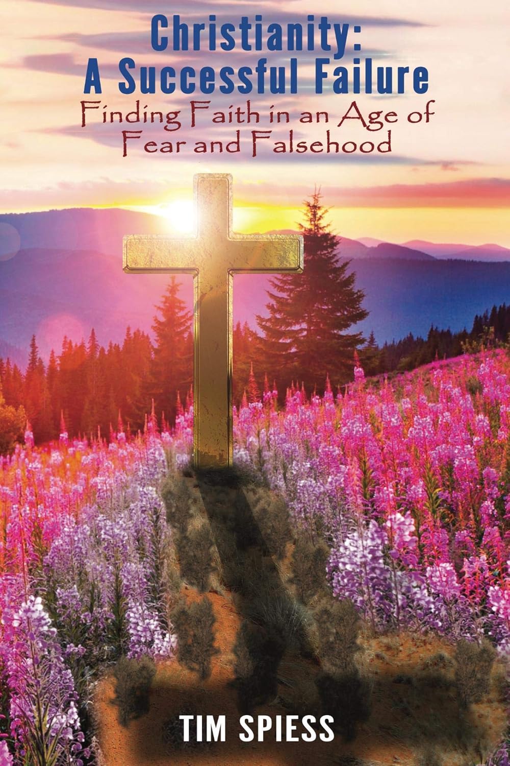 Christianity: A Successful Failure: Finding Faith in an Age of Fear and ...