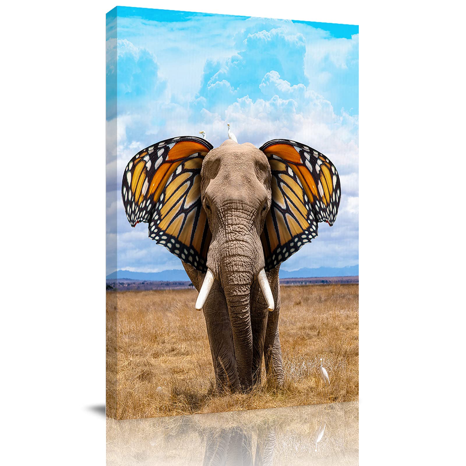 Painted Elephant Butterfly