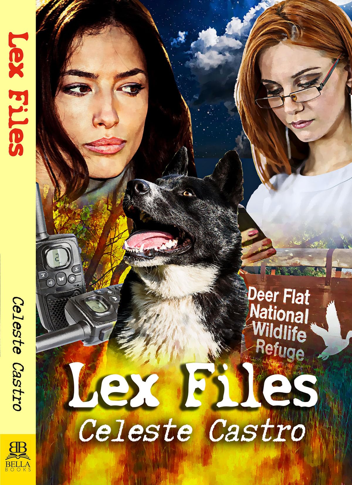 Amazon.com: Lex Files: 9781642470178: Castro, Celeste: Books