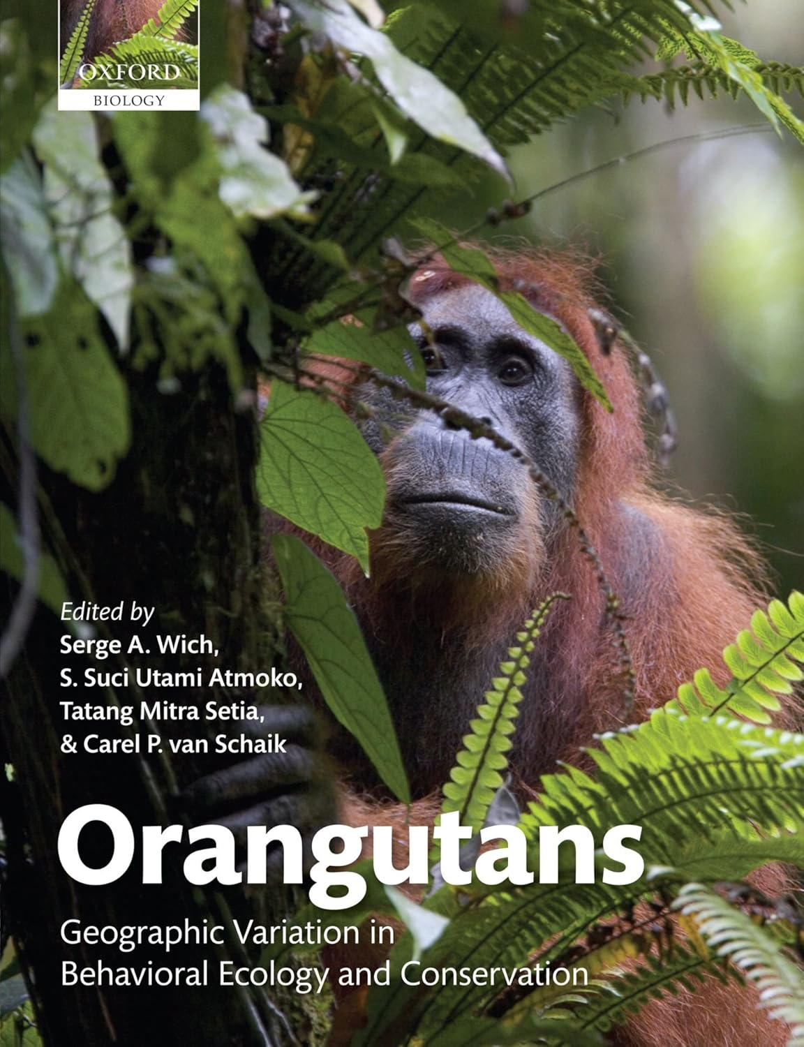 Orangutans: Geographic Variation in Behavioral Ecology and Conservation ...