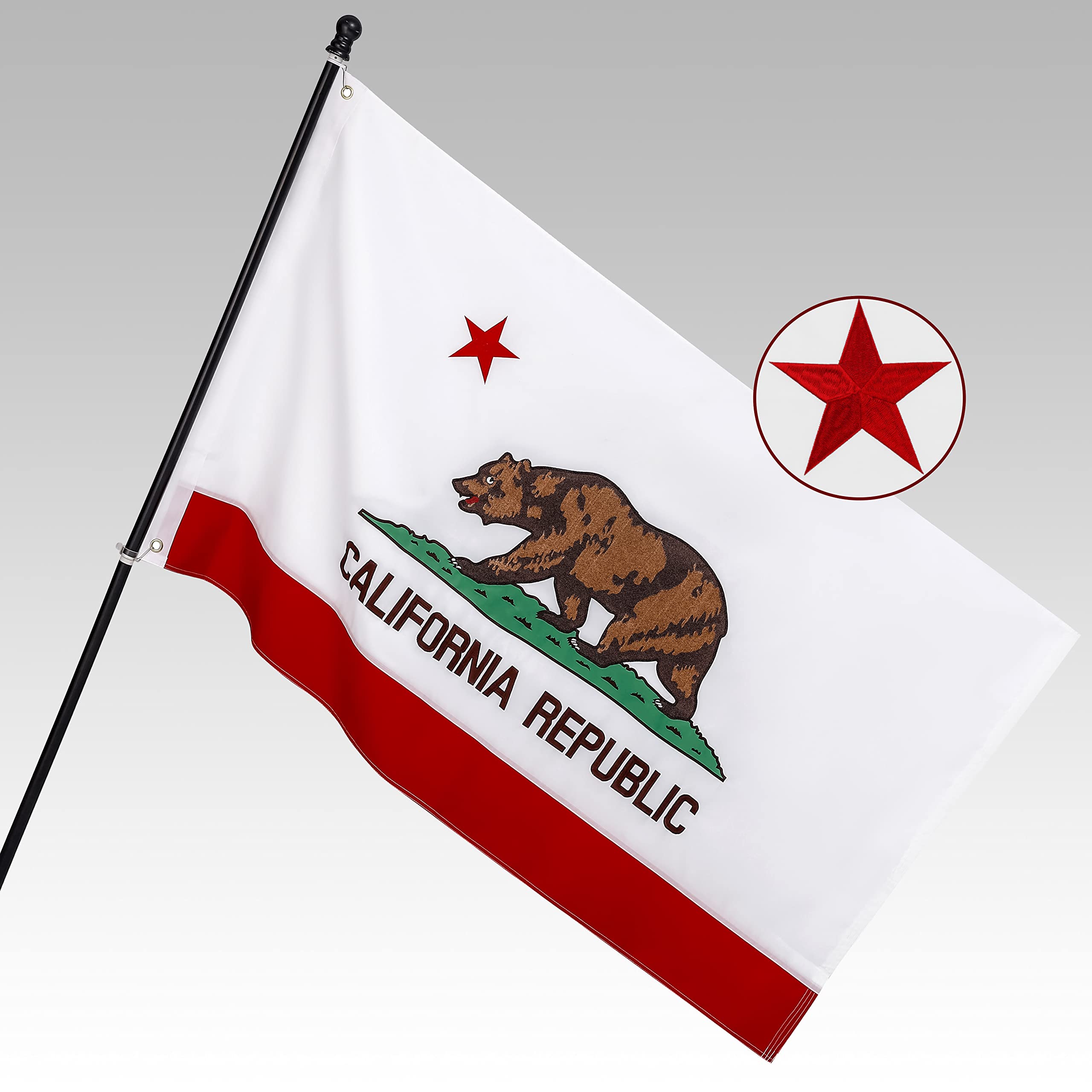 Ca State Logo Program Overview | Sacramento State