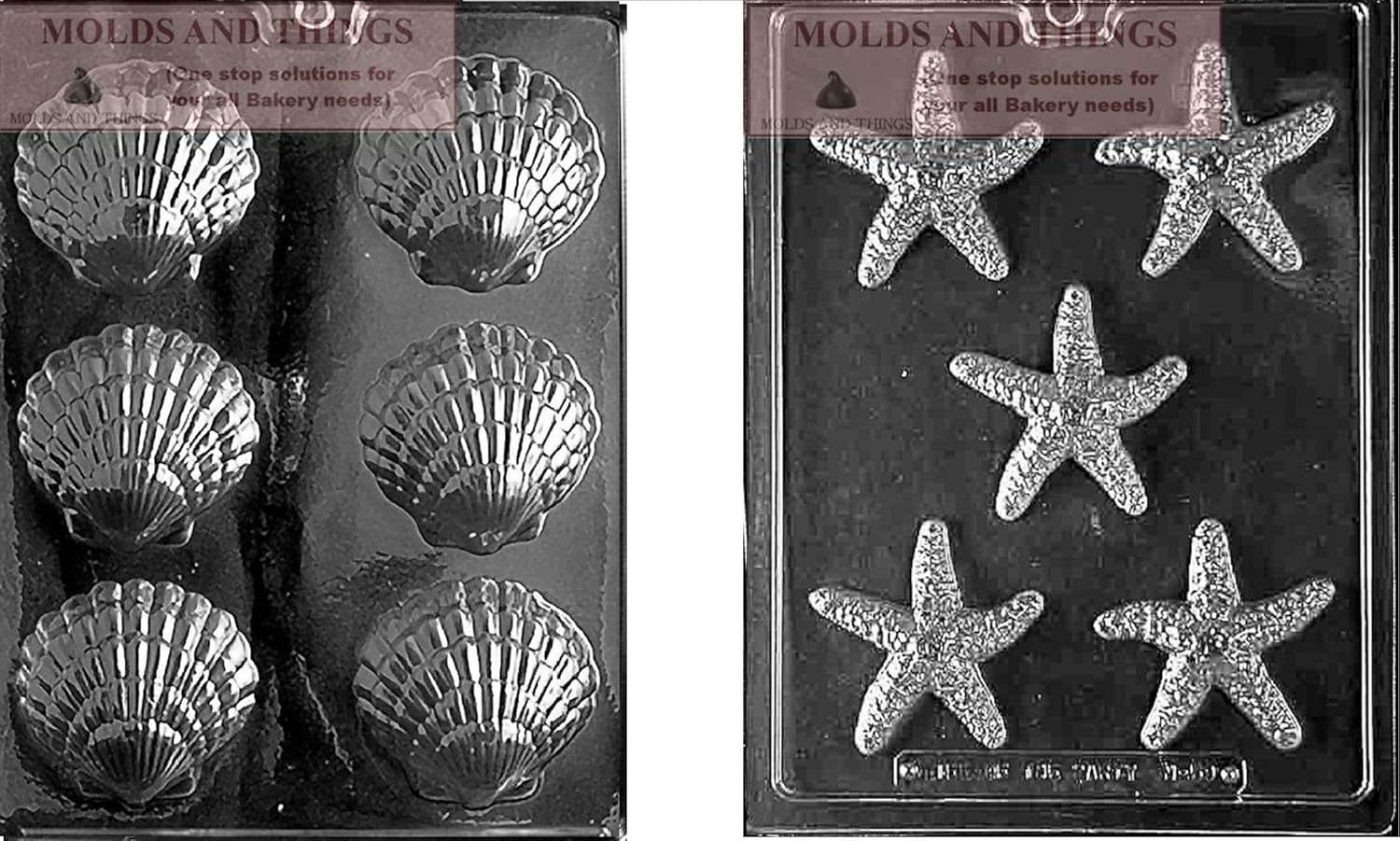 Amazon.com: Nautical shells Seashell Assortmnet Chocolate Candy Mold ...