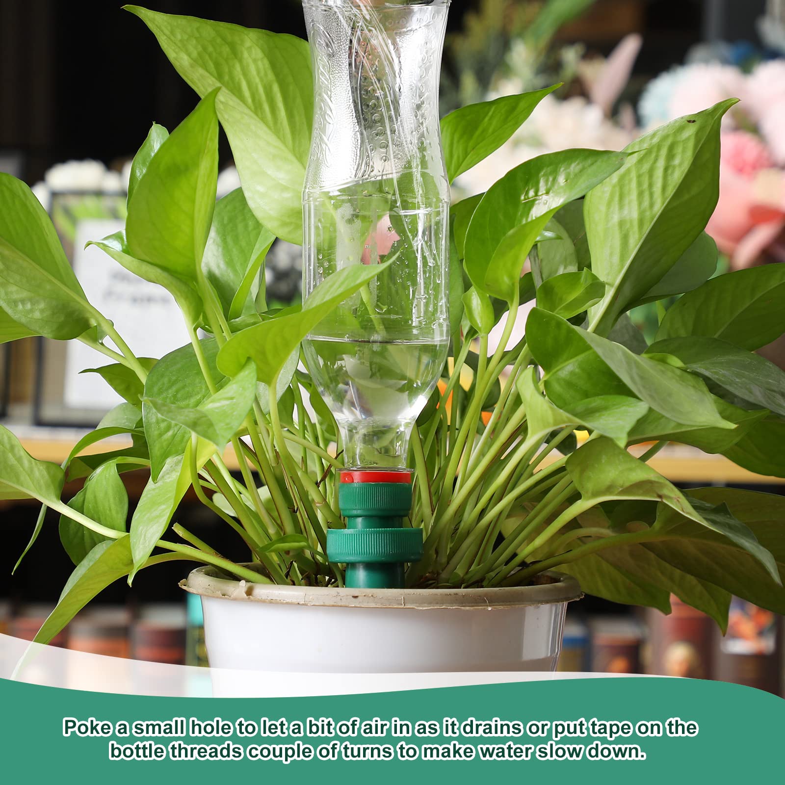 Pop Bottle Irrigation Spike Caps Amazon.com: Terracotta Plant Watering