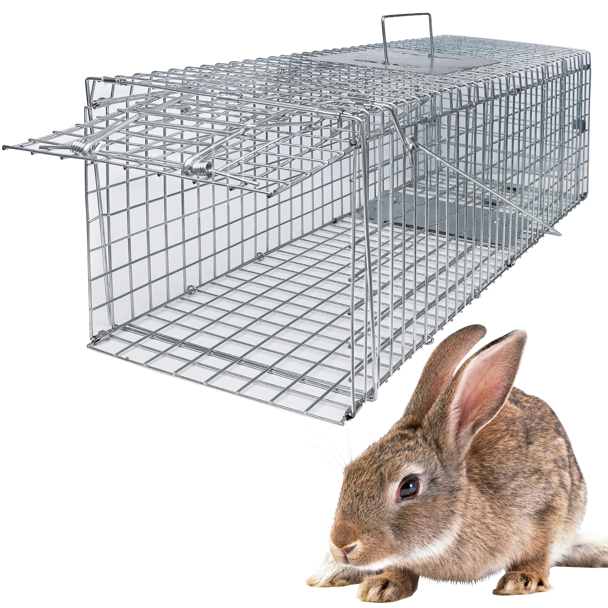 Live Animal Trap - 32'' Humane Way Folding Raccoon Traps, Humane Live ...