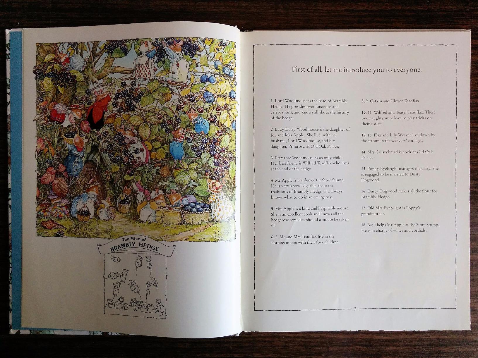 The Brambly Hedge Library: Amazon.co.uk: Barklem, Jill: 9780007605156 ...