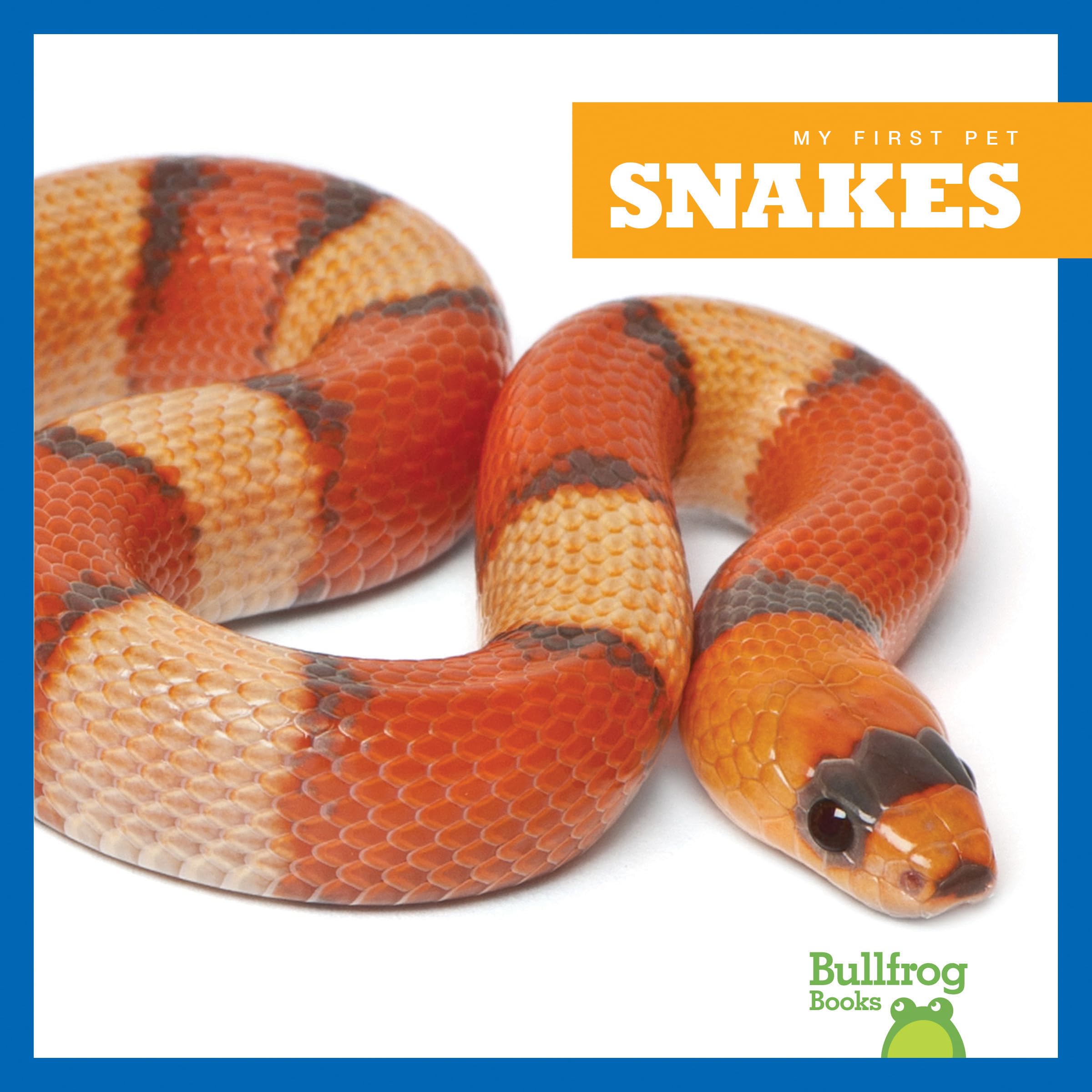 Amazon.com: Snakes (Bullfrog Books: My First Pet): 9781620315552 ...
