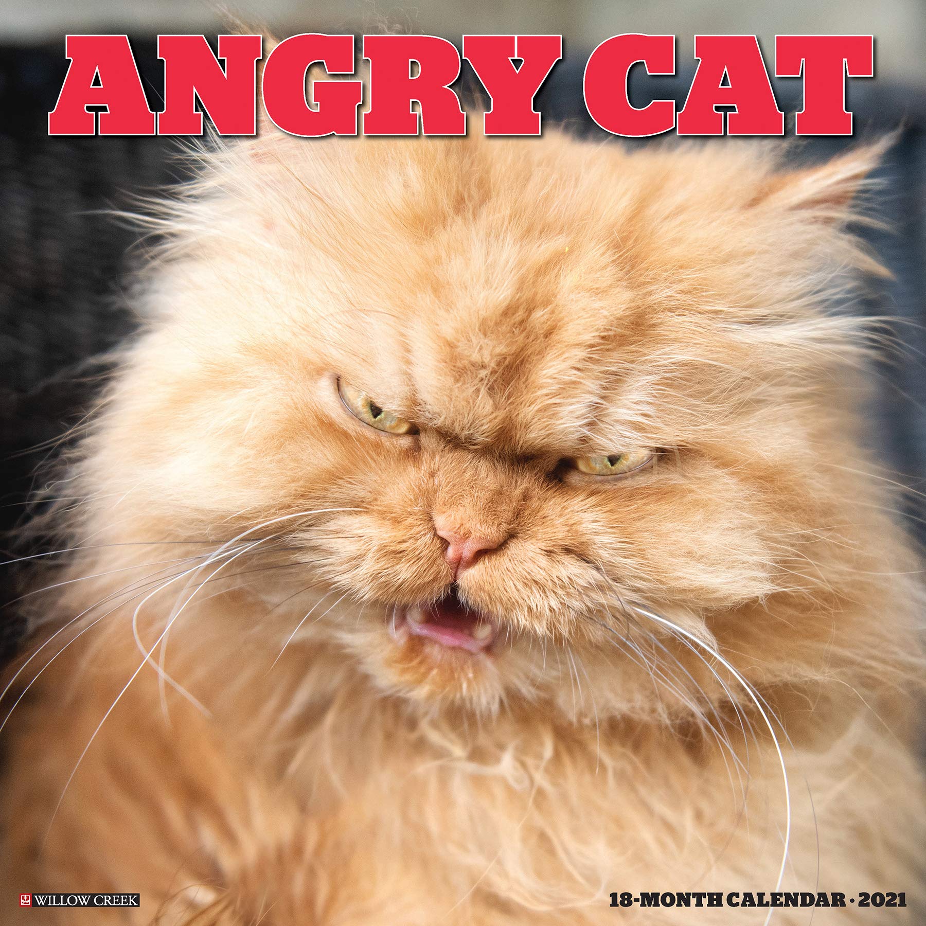 Angry Cat 2021 Calendar: Amazon.co.uk: Willow Creek Press ...