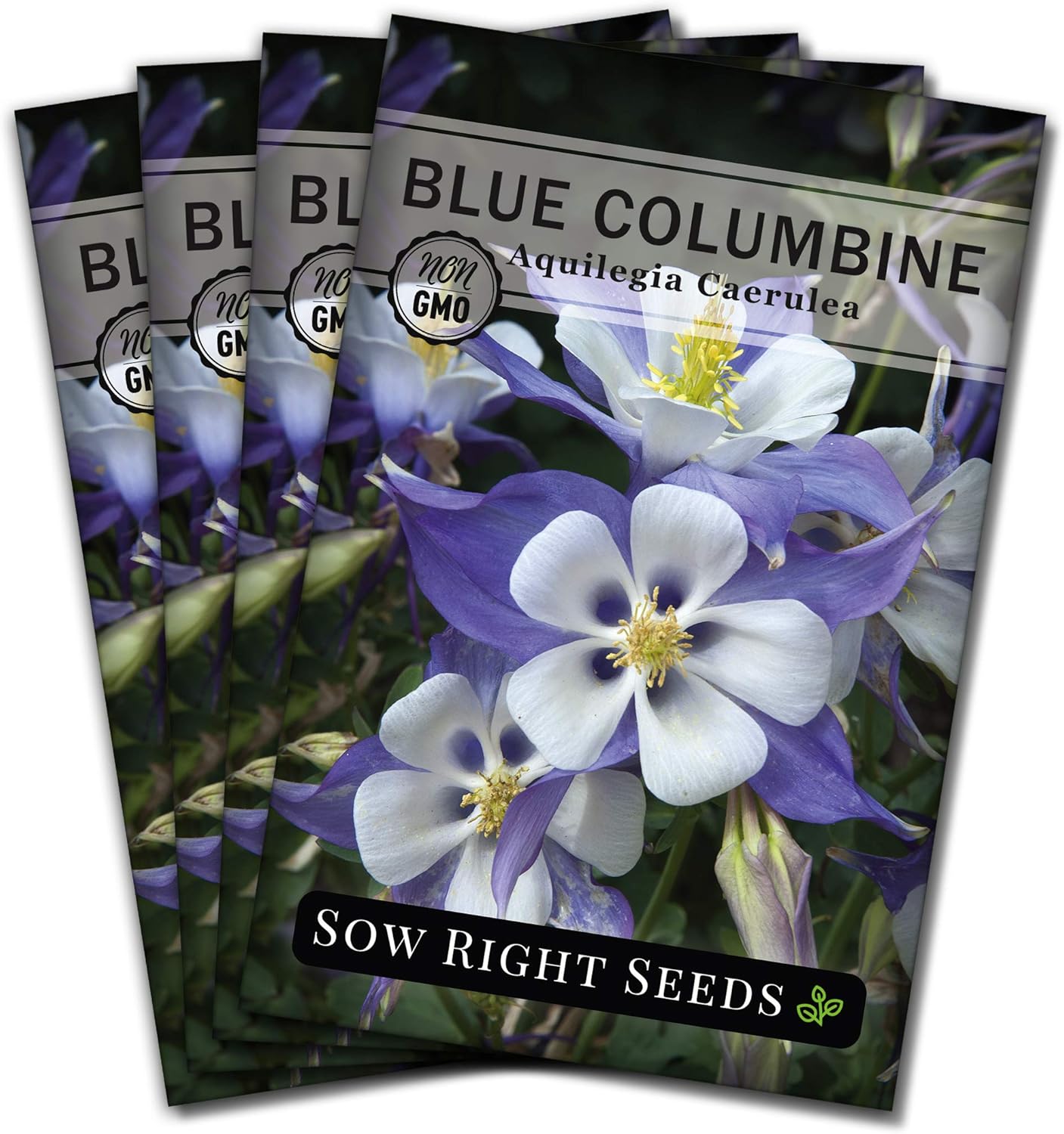 Amazon.com : Sow Right Seeds - Blue Columbine Flower Seeds to Plant ...