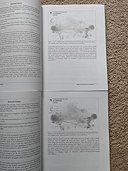 Graph Algorithms: Practical Examples in Apache Spark and Neo4j: Needham, Mark, Hodler, Amy E ...