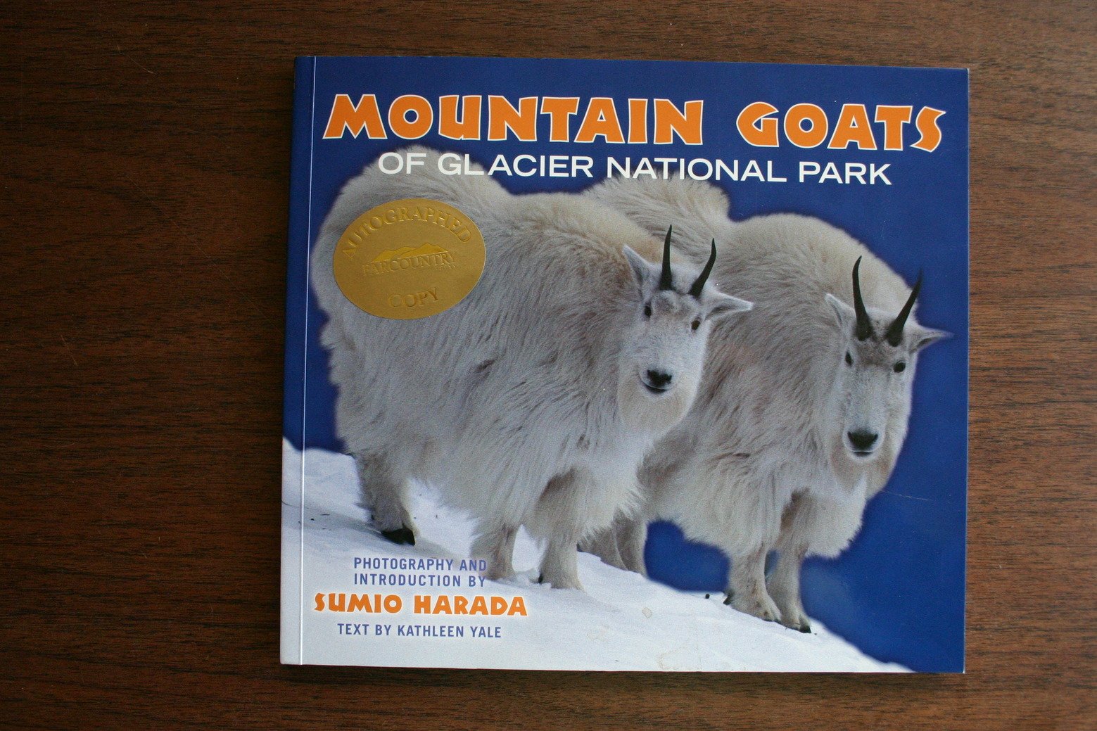 Mountain Goat Glacier National Park Baby Mountain Goat, Glacier