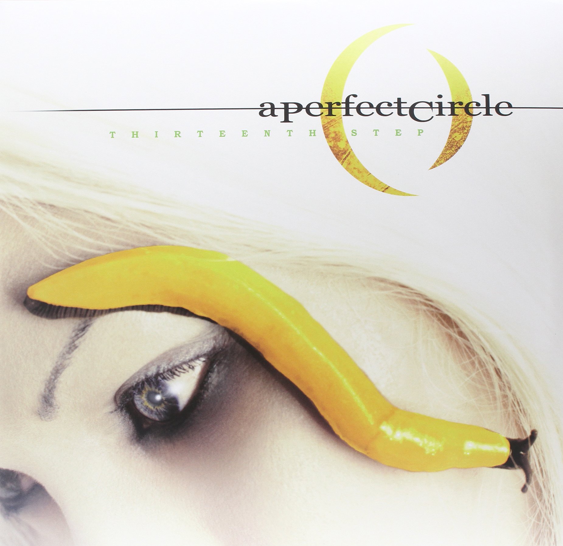 Thirteenth Step (Vinyl) [Importado]: Amazon.com.mx: Música