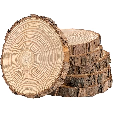 Amazon.com: Wood Slices 6PCS Unfinished Natural Wood Rounds Wooden ...