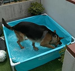 Intex 57173NP - Piscina desmontable mini small frame 122 x 122 x 30 cm ...