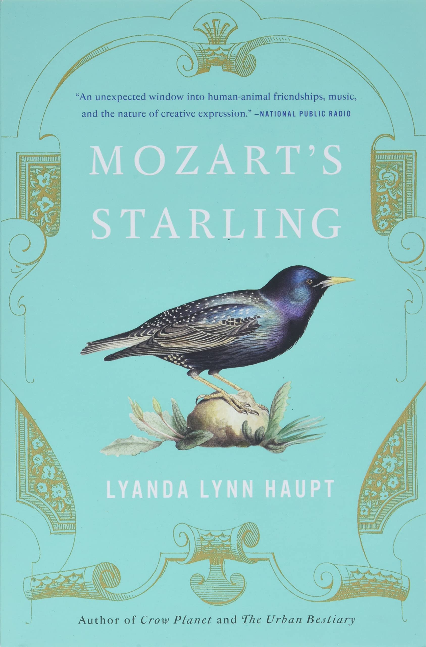 Mozart's Starling: Haupt, Lyanda Lynn: 9780316370905: Amazon.com: Books