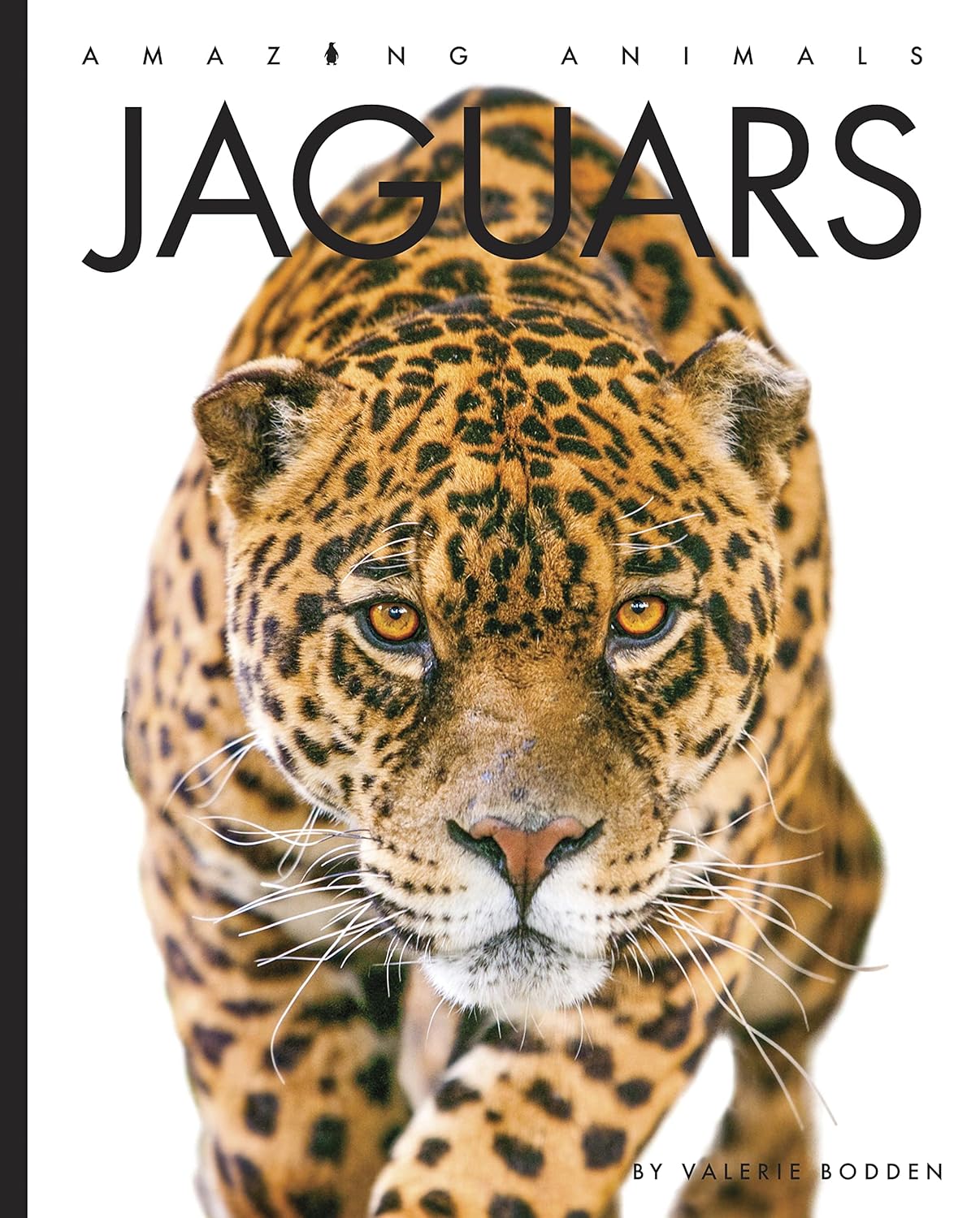 Jaguars (Amazing Animals): Bodden, Valerie: 9781682771006: Amazon.com ...