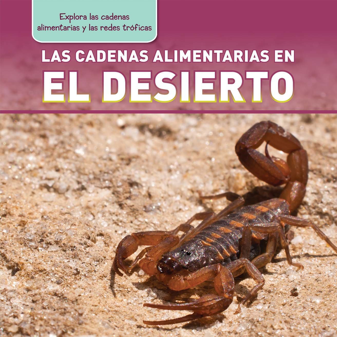 Las cadenas alimentarias en el desierto / Desert Food Chains (Explora ...