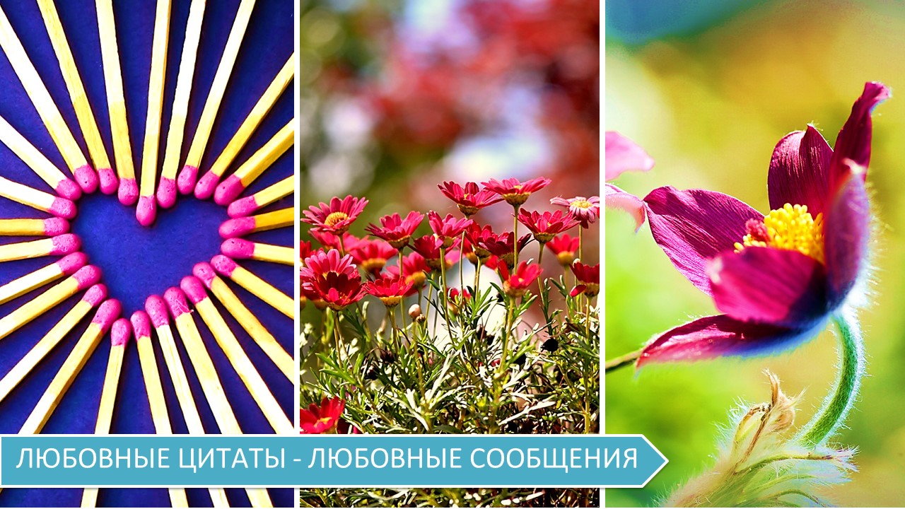 Russian Love Messages & Love Quotes - App on Amazon Appstore
