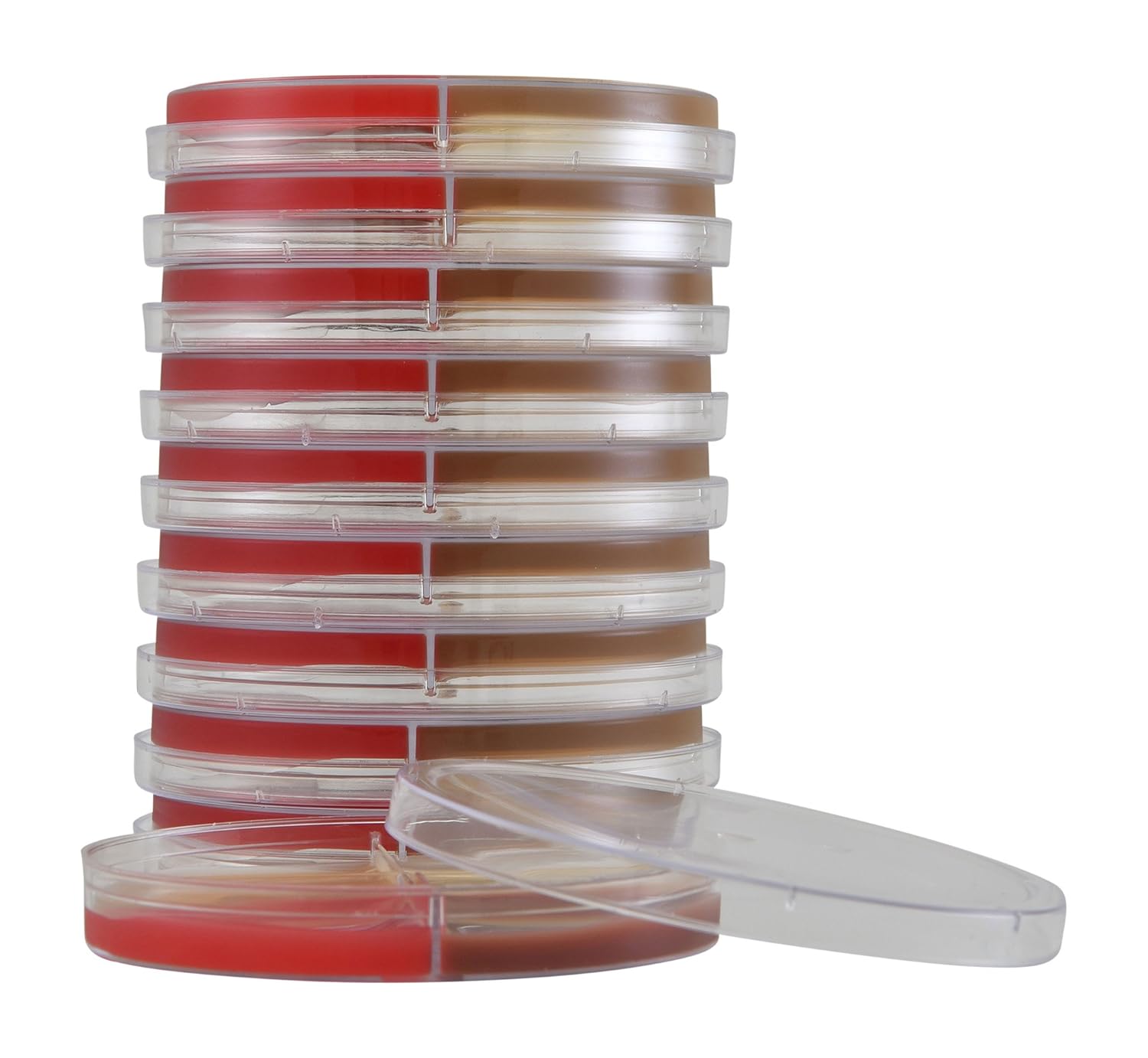 Amazon.com: haemophilus ID Quad (10 platos por pack) : Industrial y ...