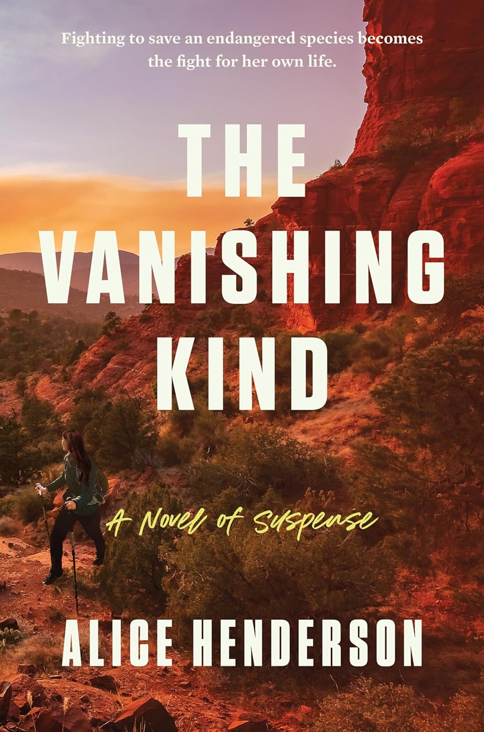 Amazon.com: The Vanishing Kind: A Novel of Suspense (Alex Carter Series ...